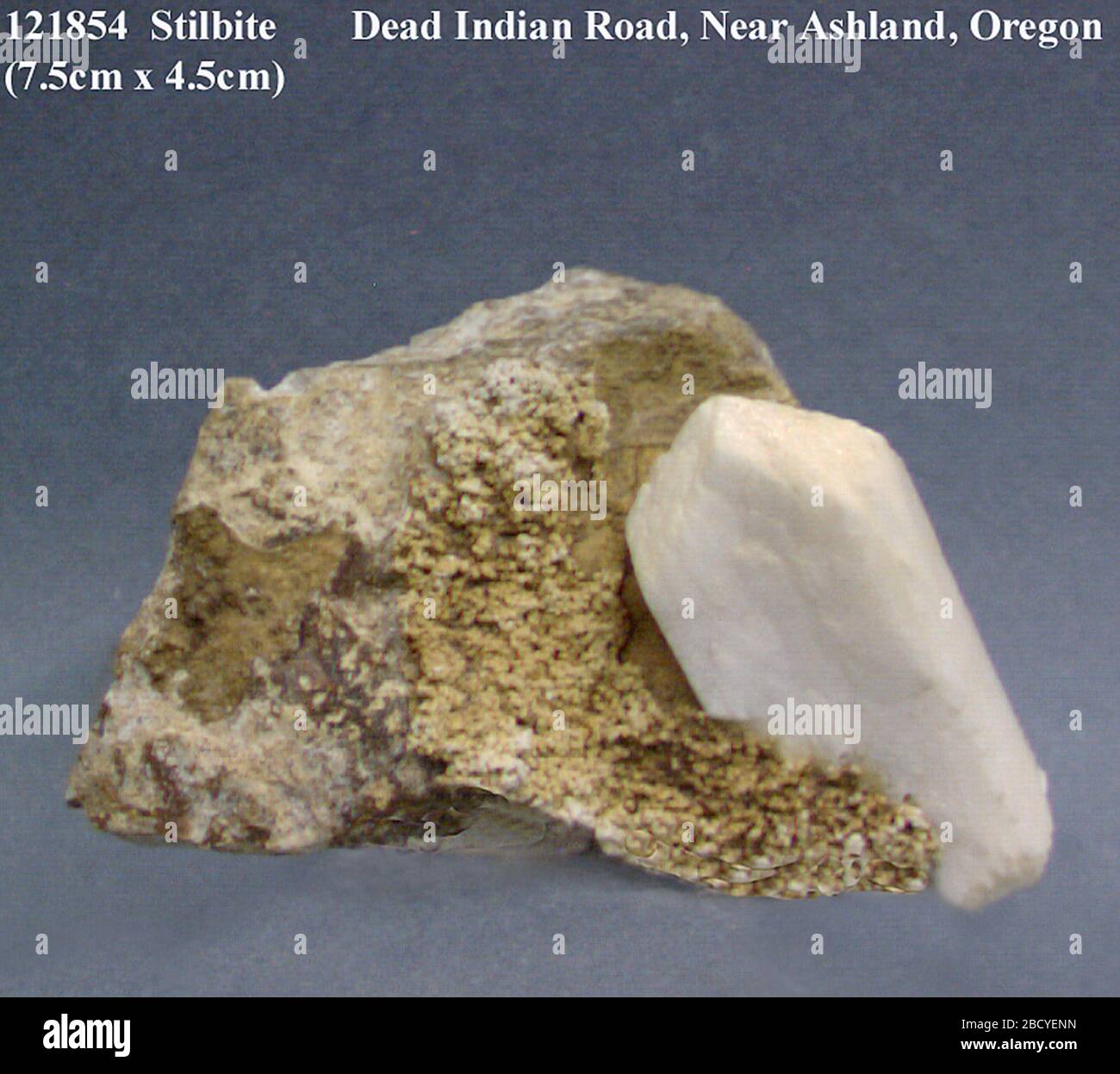 Stilbite (NMNH 121854-00) from the National Mineral Collection ...