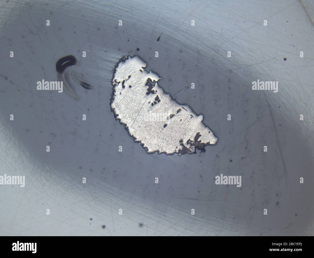 Micrograph of QUE 99134,5 meteorite under reflected light at 1.25x ...