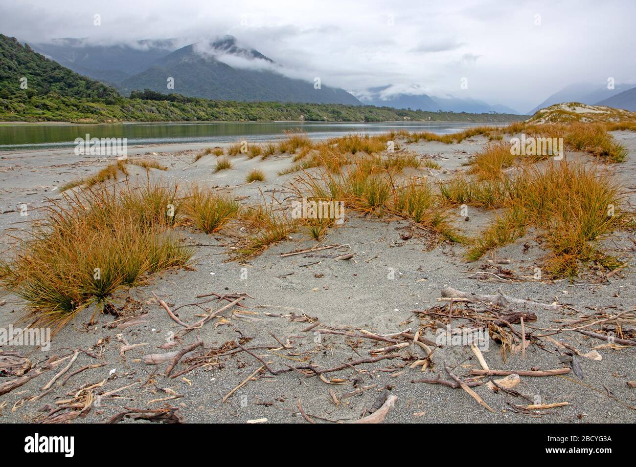 Sand spit at Martins Bay, at the mouth of the Hollyford River Stock ...