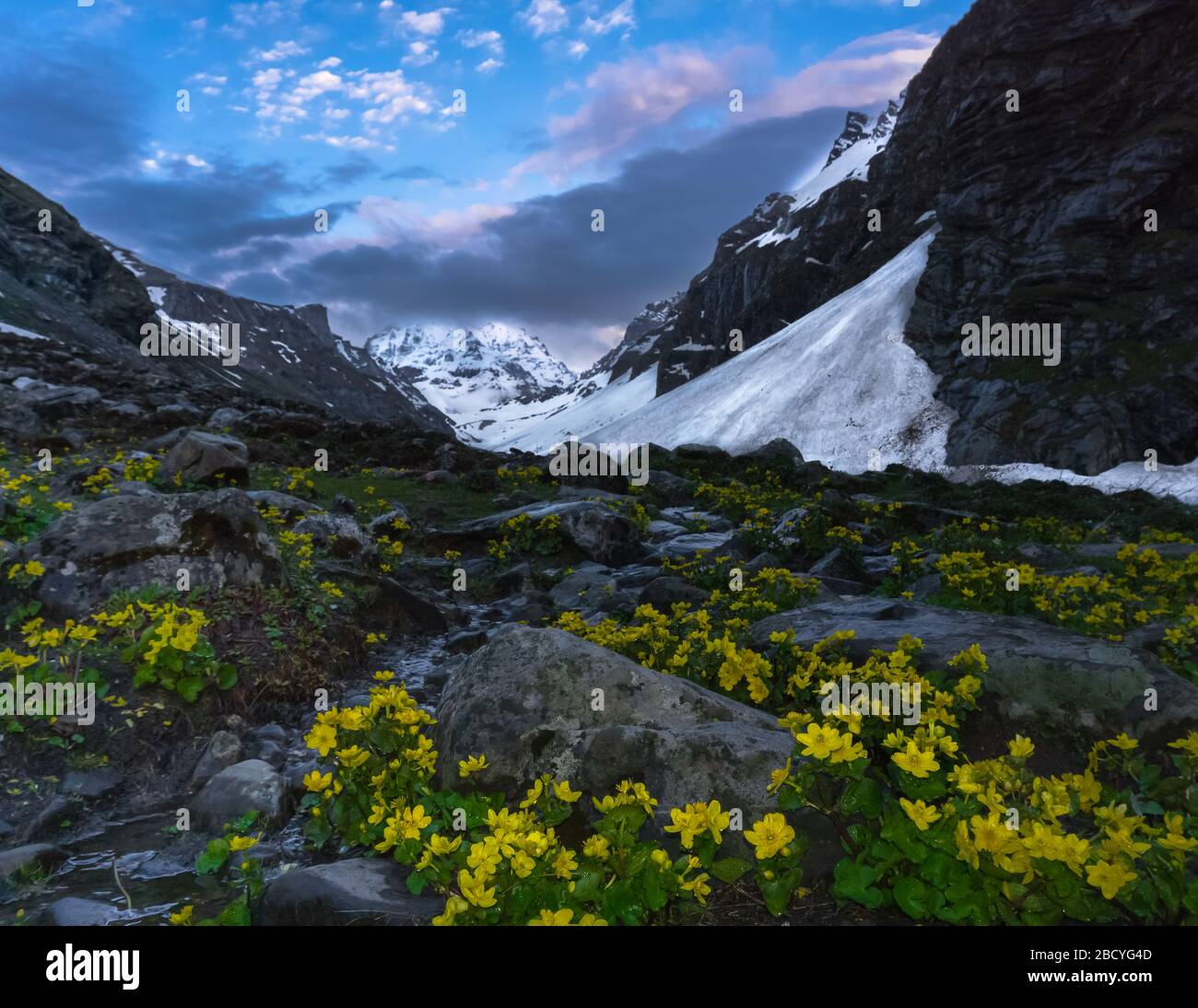 The amazing trek to hampta pass himalaya himachal pradesh india Stock ...