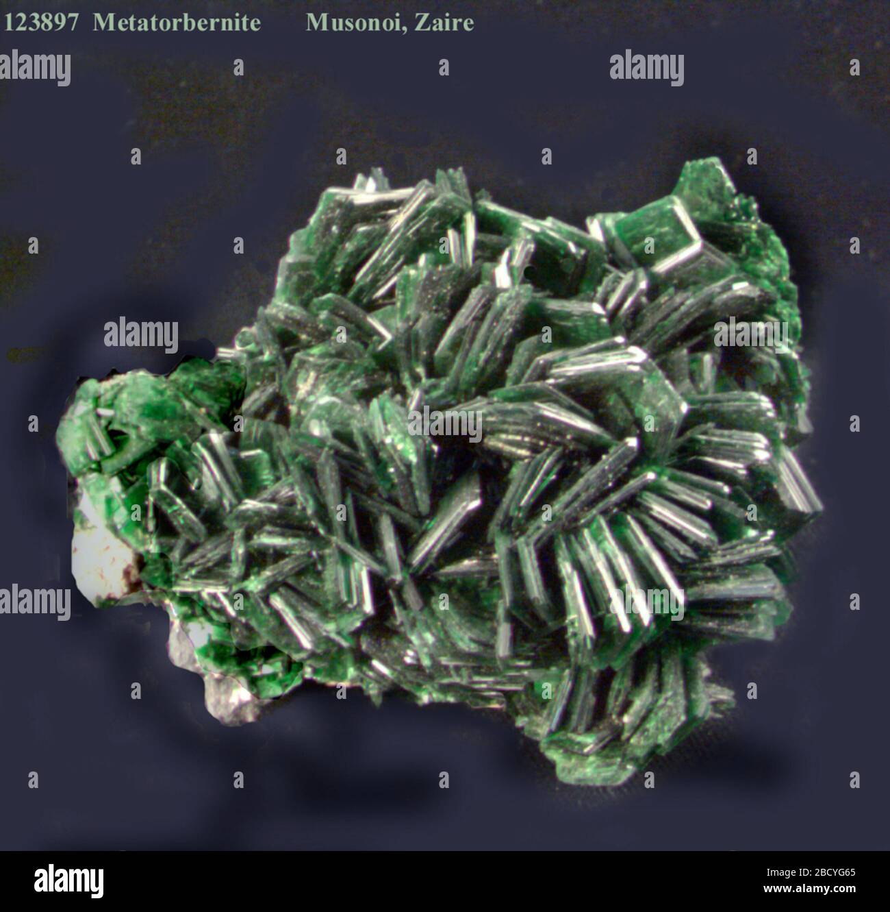 Mineral exploration congo hi-res stock photography and images - Alamy