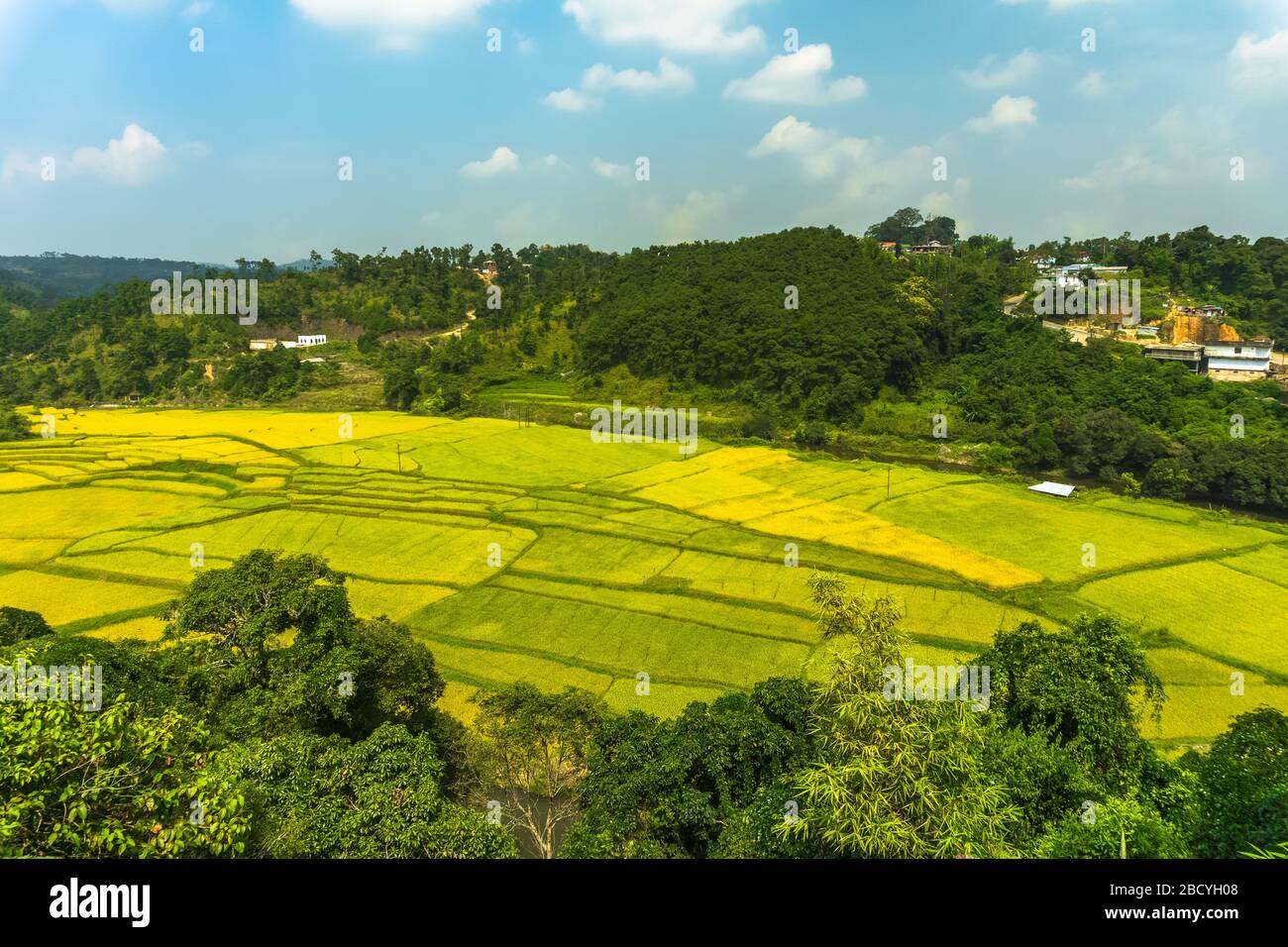 paddy fields in khasi and jaintia Hills of Meghalaya india Stock Photo ...