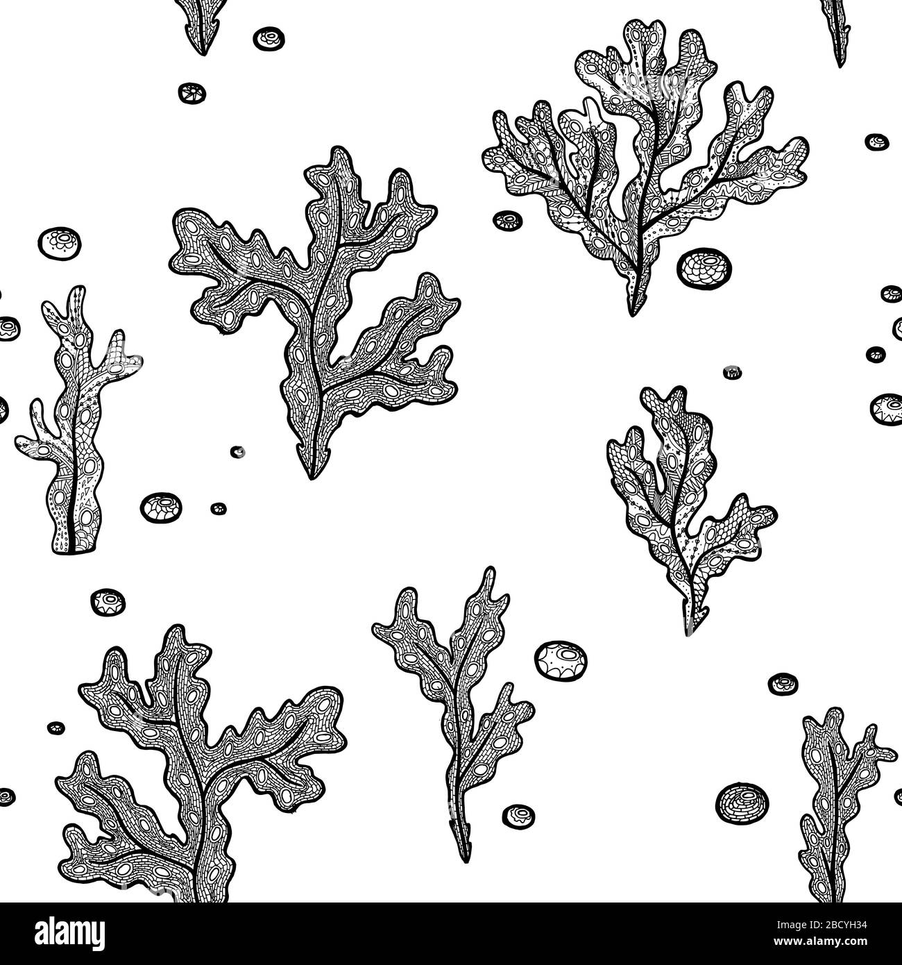 Algae Drawing