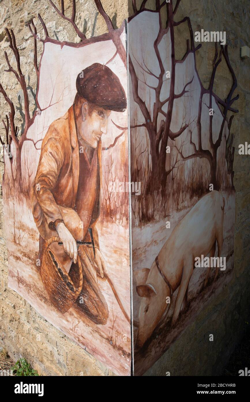 Truffle hog hi-res stock photography and images - Alamy