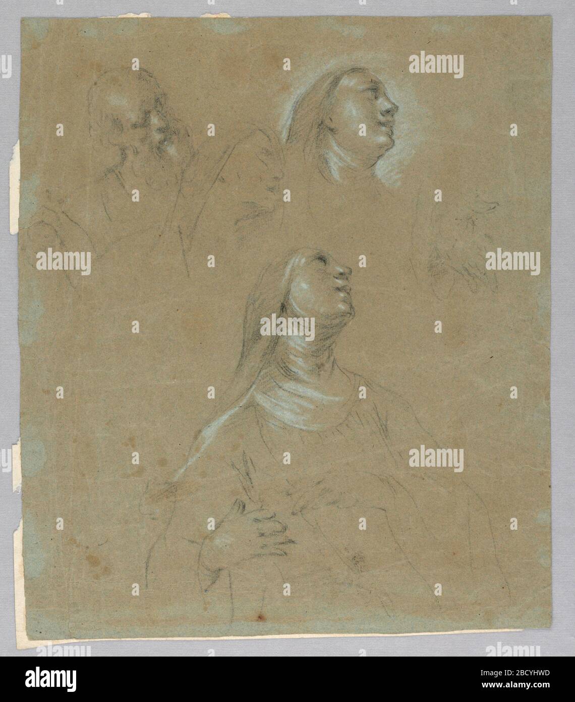 Studies for Holy Figures. Research in ProgressThe bust of a bearded ...