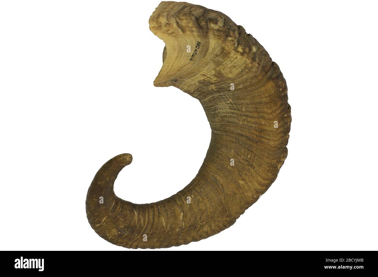 Mask exhibition Cut Out Stock Images & Pictures - Alamy