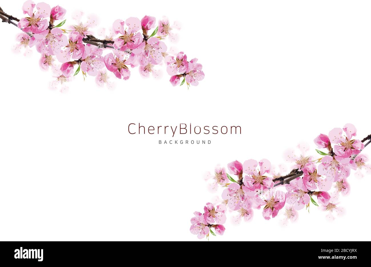 Cherry blossoms festival Cut Out Stock Images & Pictures - Alamy