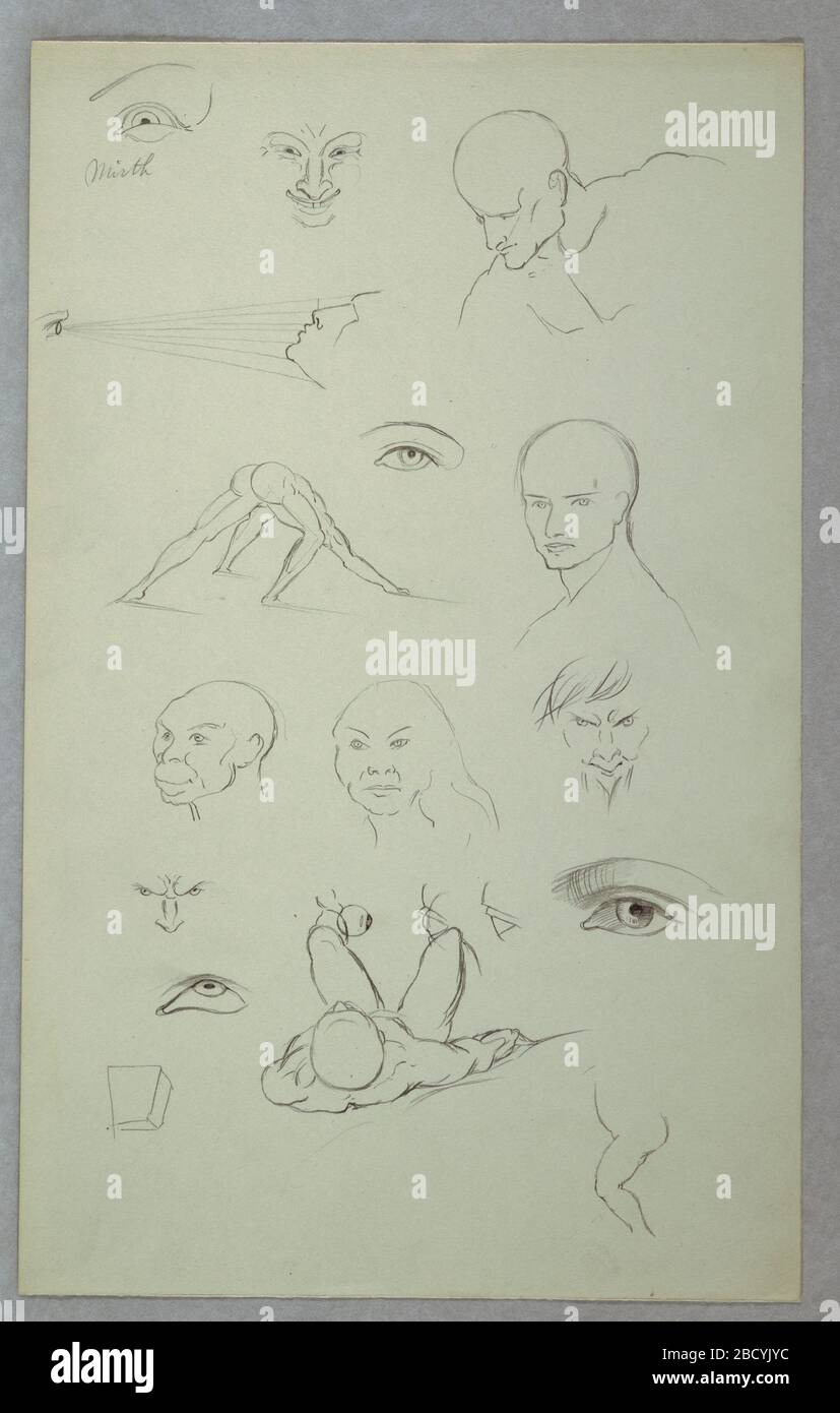 Work studies biology morphology hi-res stock photography and images - Alamy