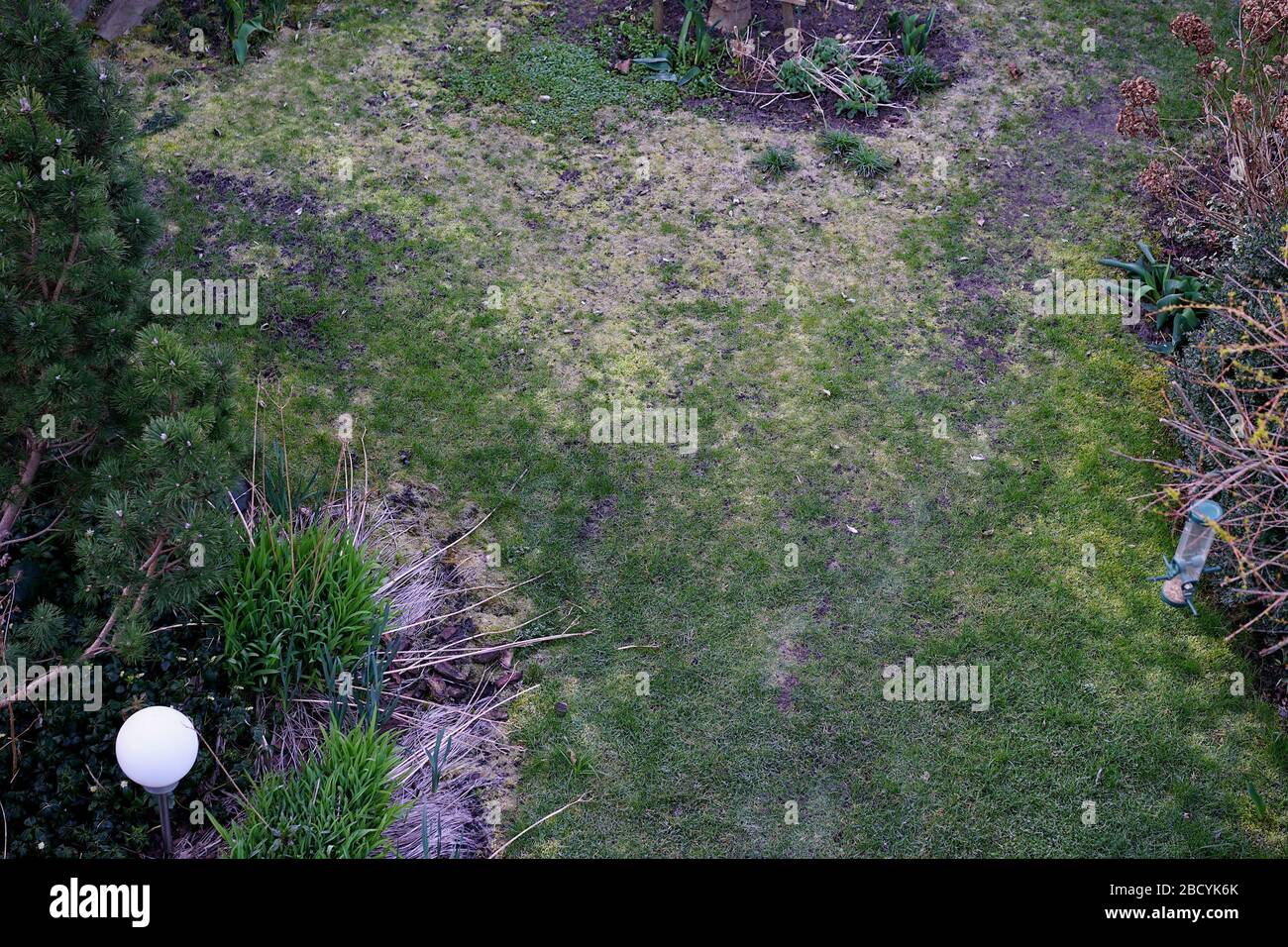 Covered plant leaf grass hi-res stock photography and images - Alamy