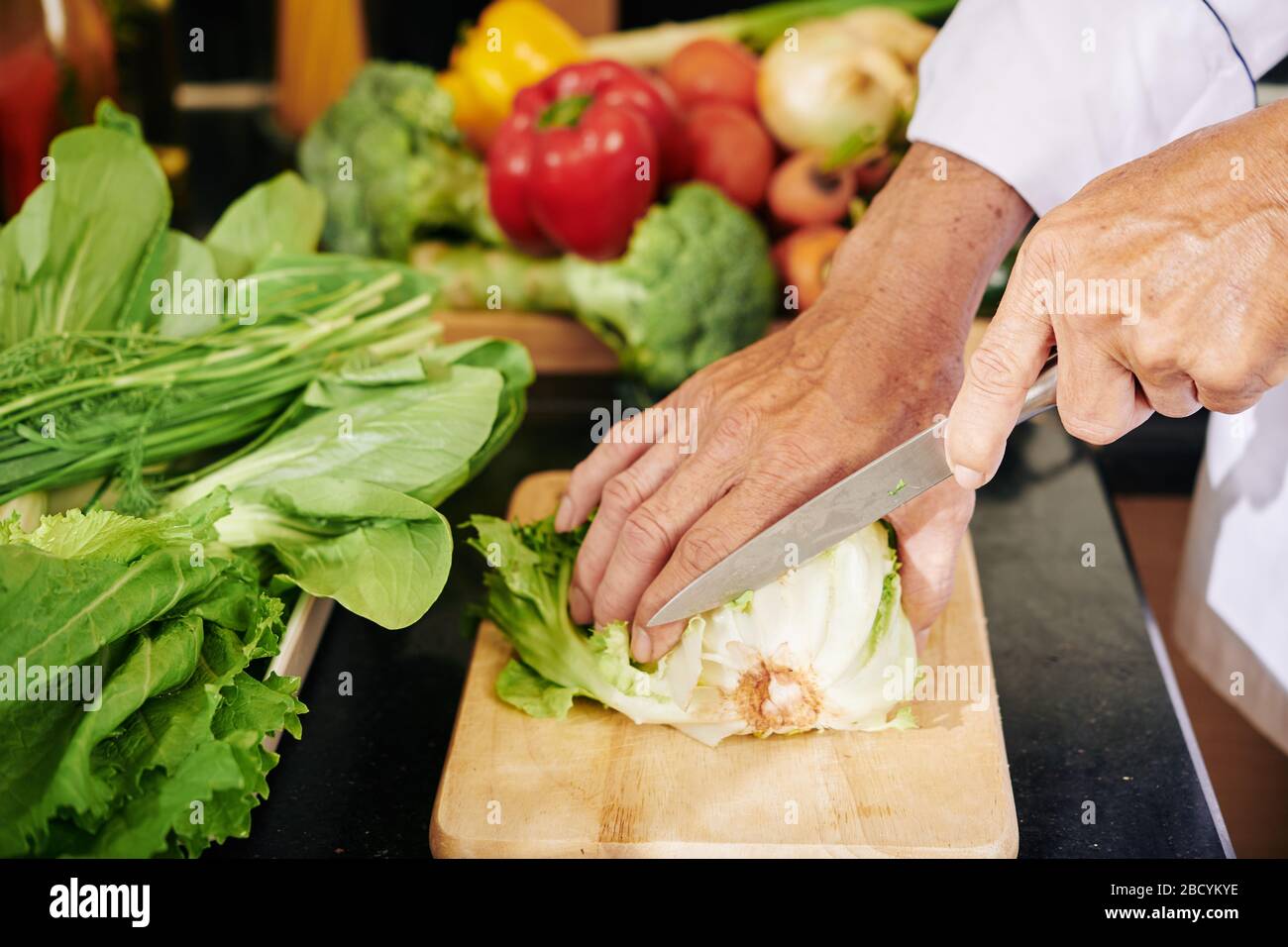Man cutting off root of Romaine lettuce head with sharp knife Stock ...