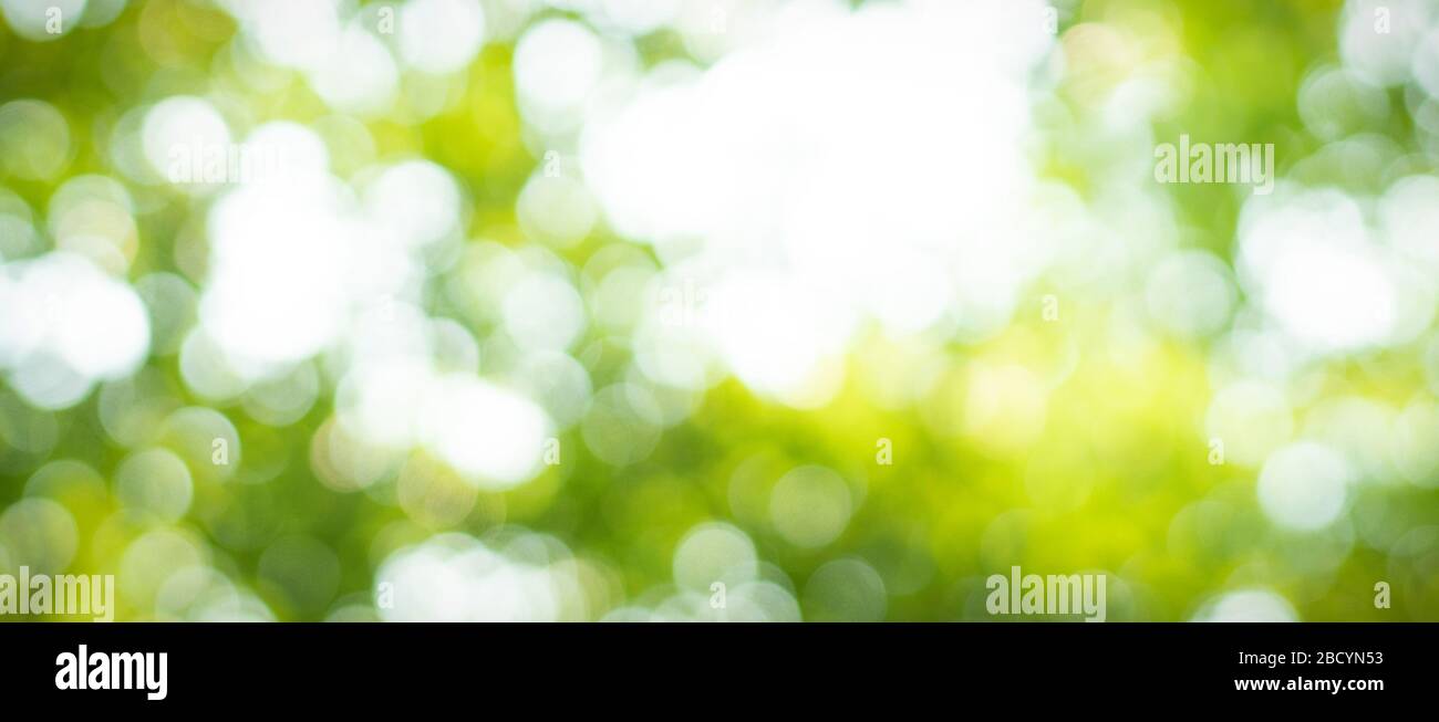 Abstract green nature hi-res stock photography and images - Alamy