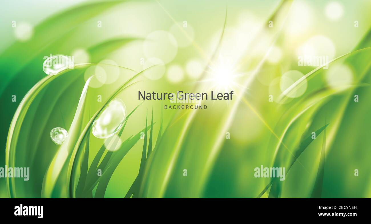 Spring holiday atmosphere Stock Vector Images - Alamy