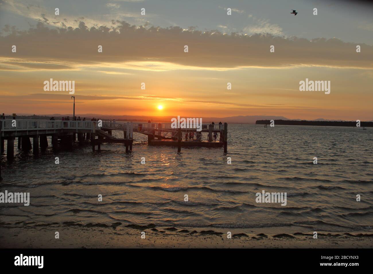 Sunset at Pilot Bay in Tauranga harbour Stock Photo - Alamy