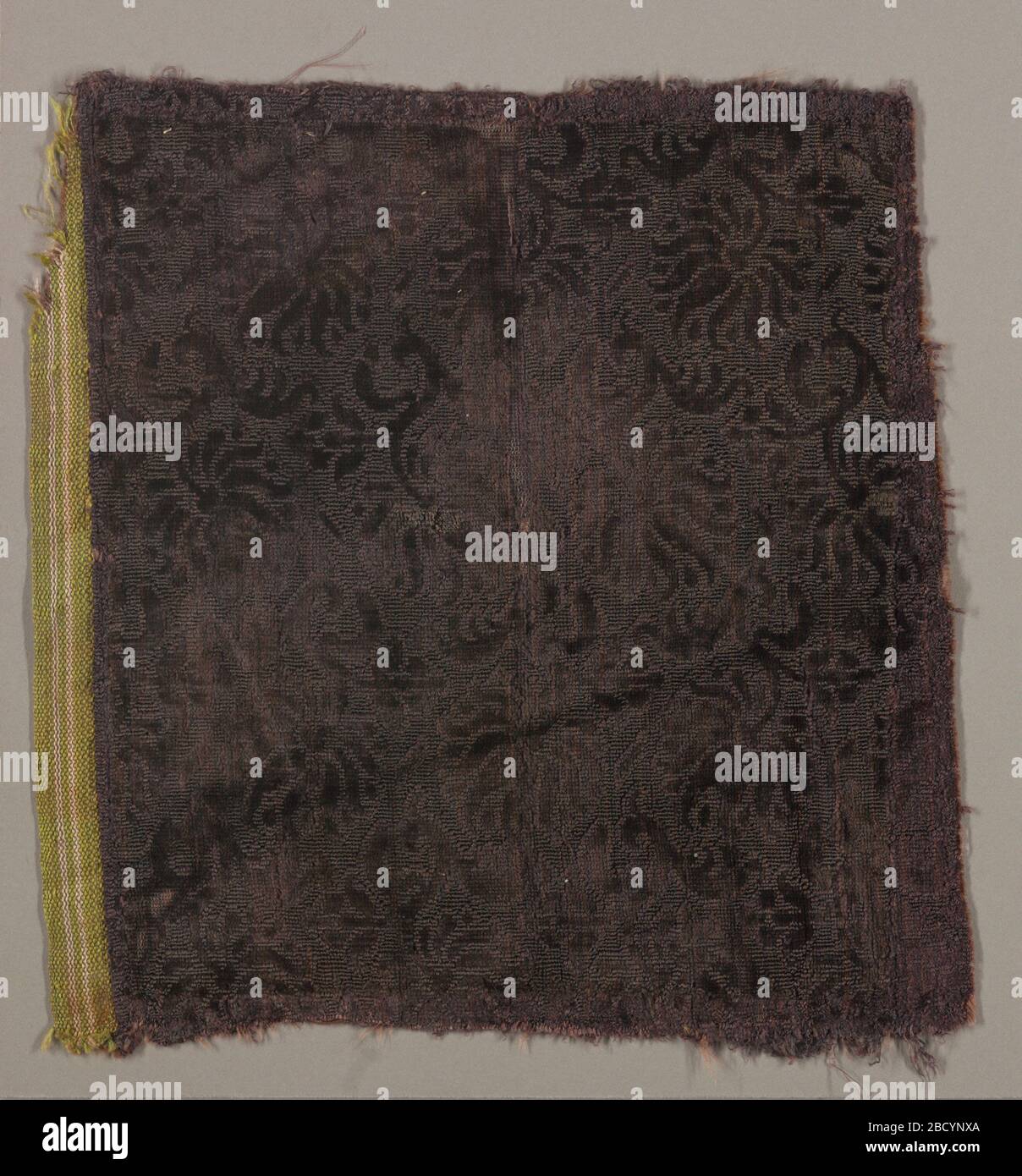 Stylized flower sprigs hi-res stock photography and images - Alamy