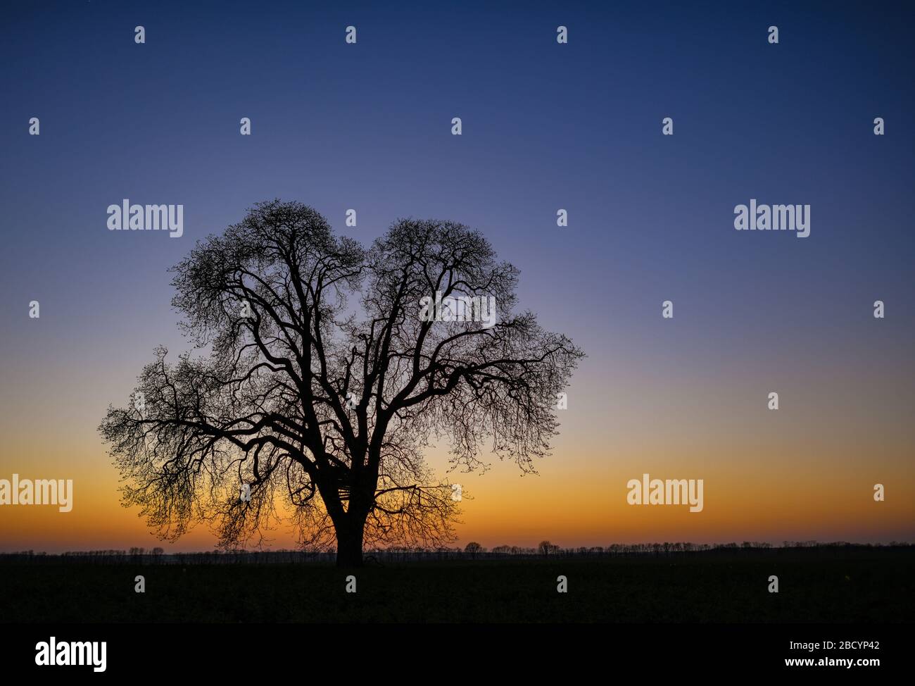 Lietzen, Germany. 05th Apr, 2020. A few minutes after sunset, the ...