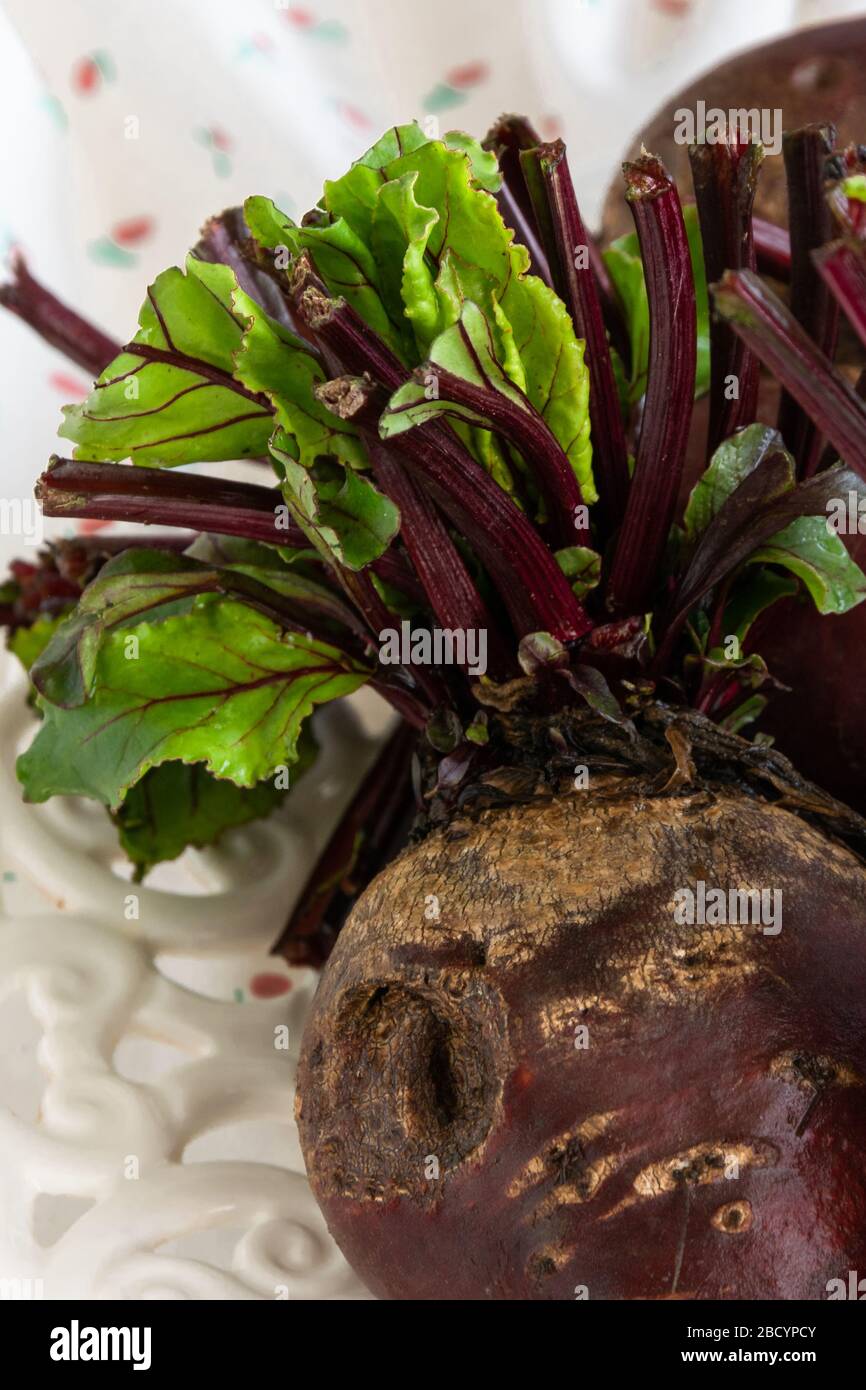 Isolated raw beet root on white background Stock Photo - Alamy