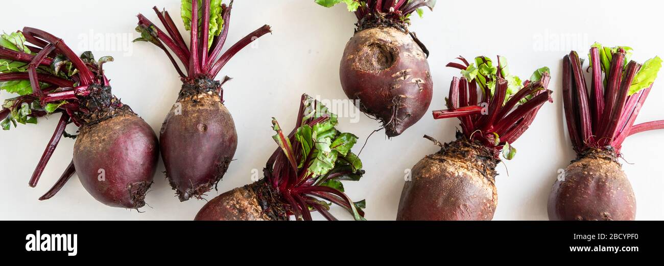 Isolated raw beet root on white background Stock Photo - Alamy