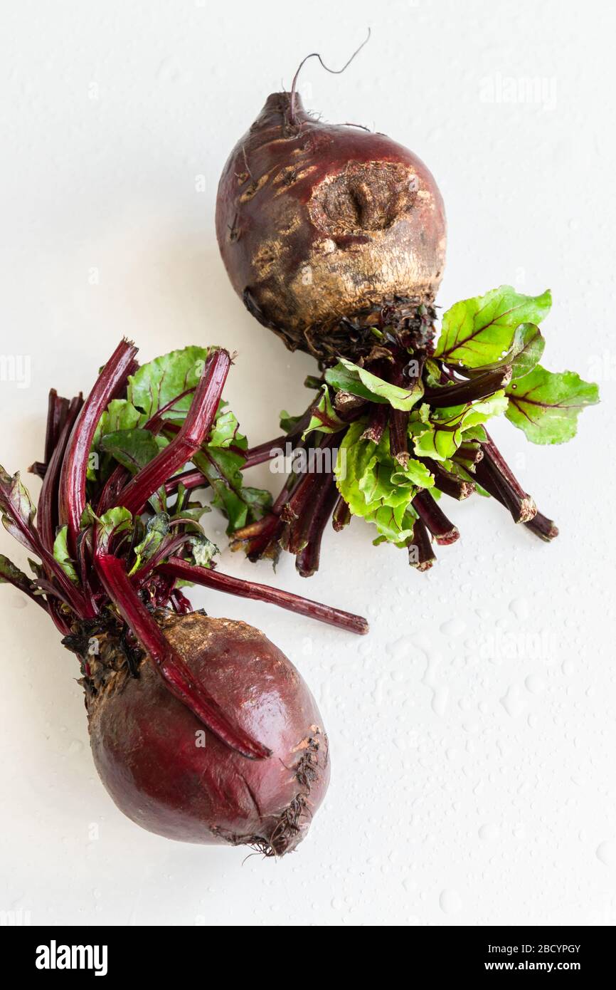 Gourmet appetizer beet root hi-res stock photography and images - Alamy