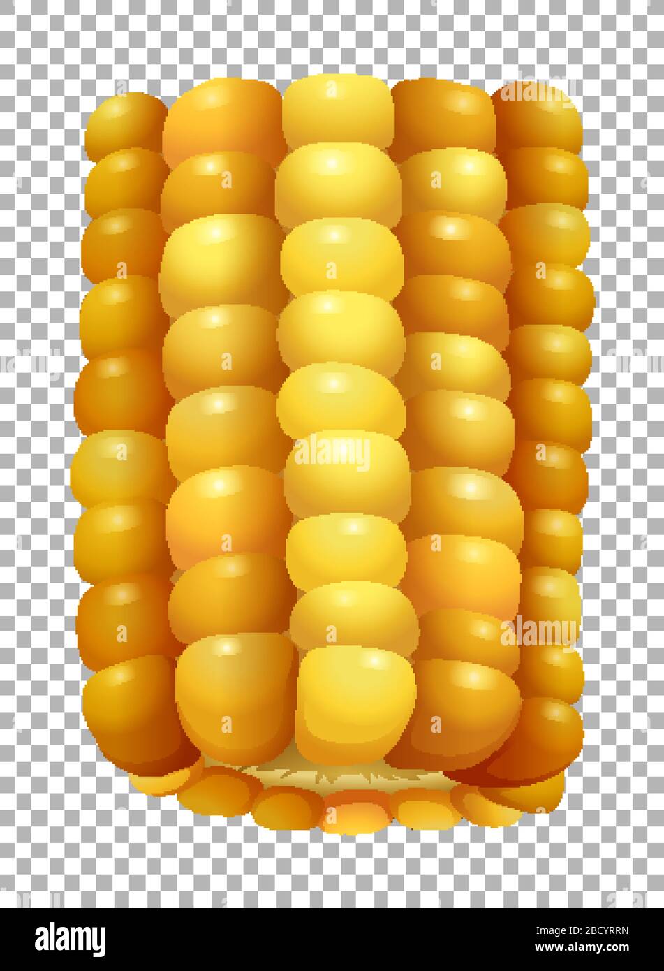 Fresh sweet corn on transparent background illustration Stock Vector ...