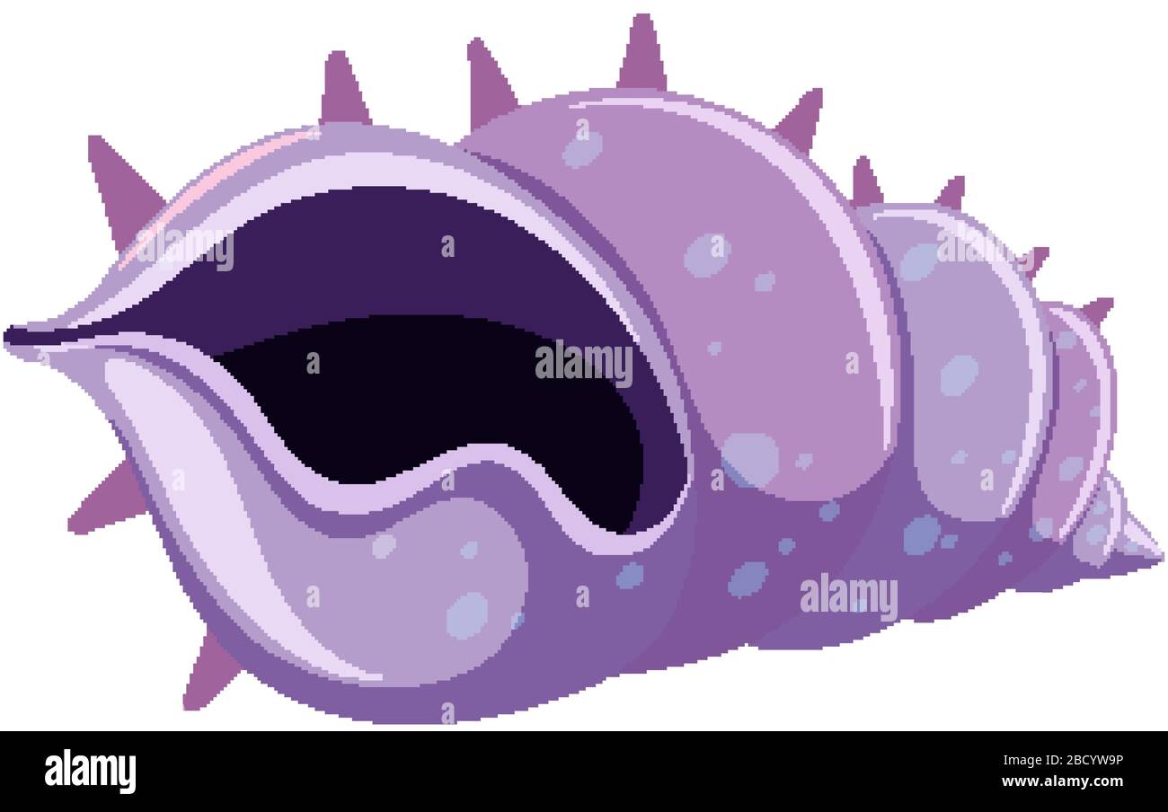 Purple seashell on white background illustration Stock Vector Image ...