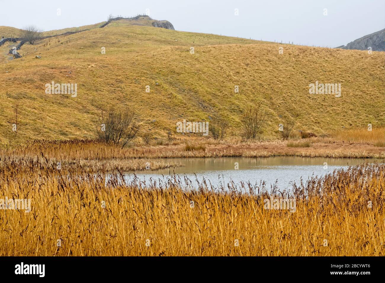 Small lake on high Yorkshire moorland Stock Photo - Alamy