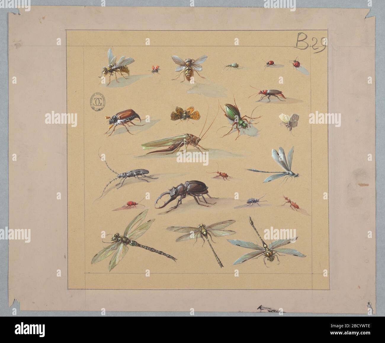 Designs for Wallpaper and Textiles Insects. Research in ProgressSquare ...