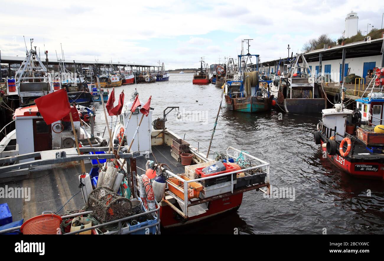 Fishing boats at North Shields Fish Quay on the bank of the River Tyne ...