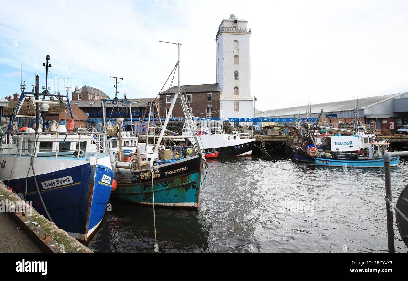 On north shields fish quay hi-res stock photography and images - Alamy