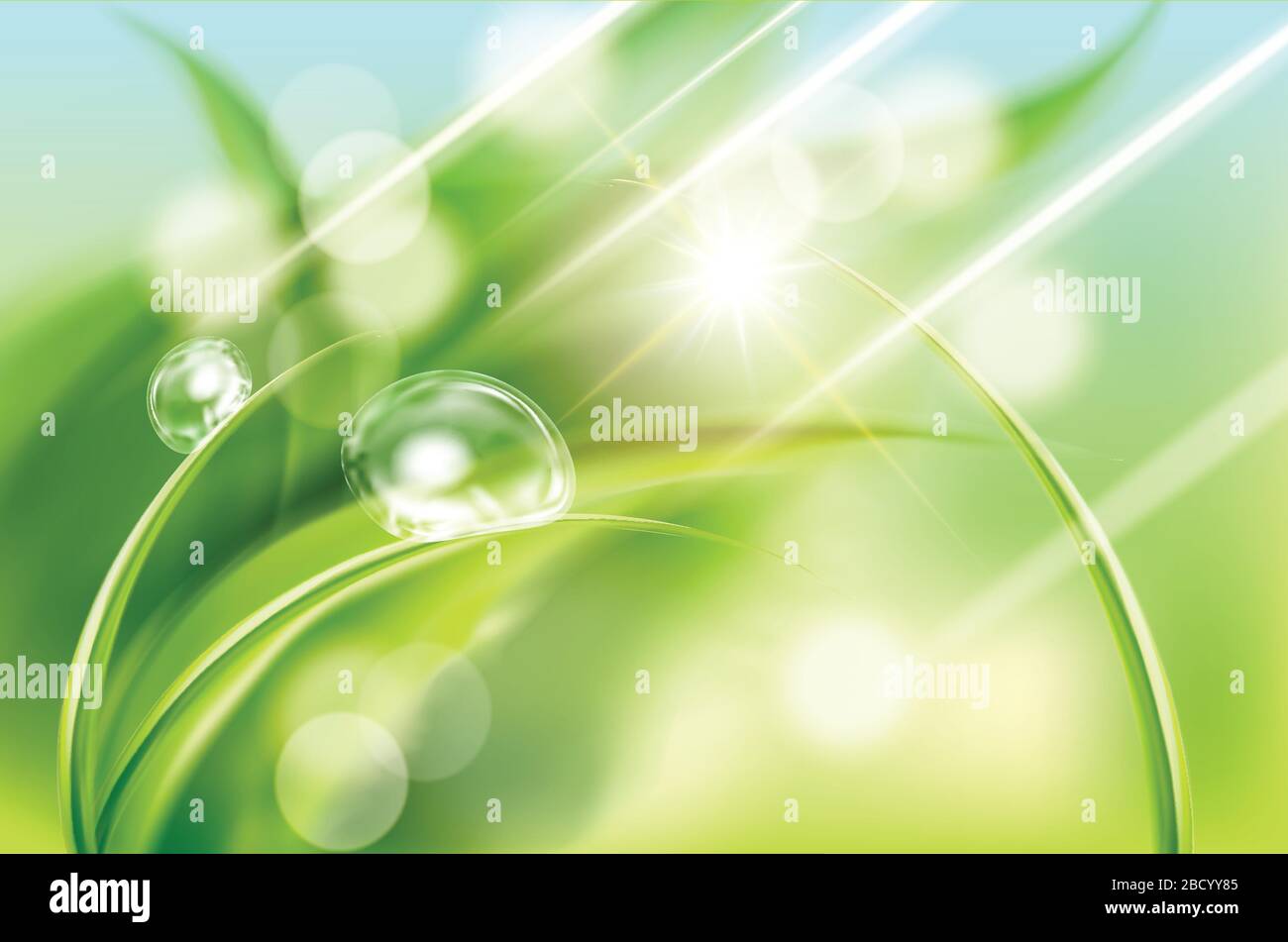 Natural light spring sale Stock Vector Images - Alamy