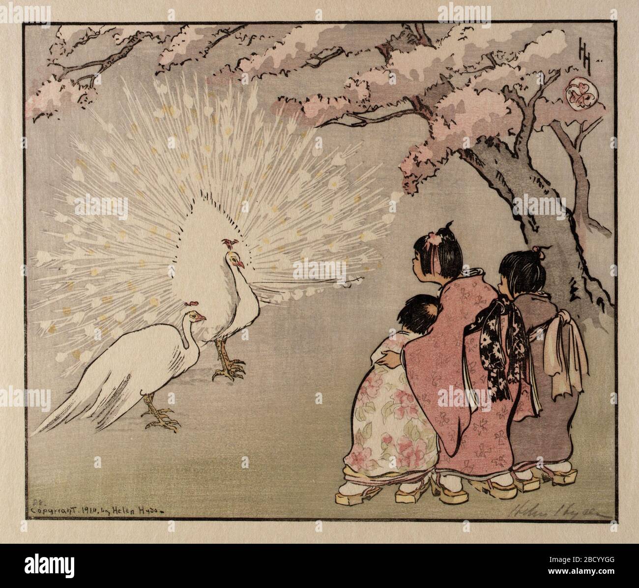 Diversity peacock hi-res stock photography and images - Alamy