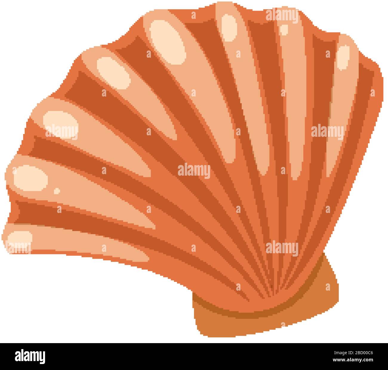 Brown seashell on white background illustration Stock Vector Image ...