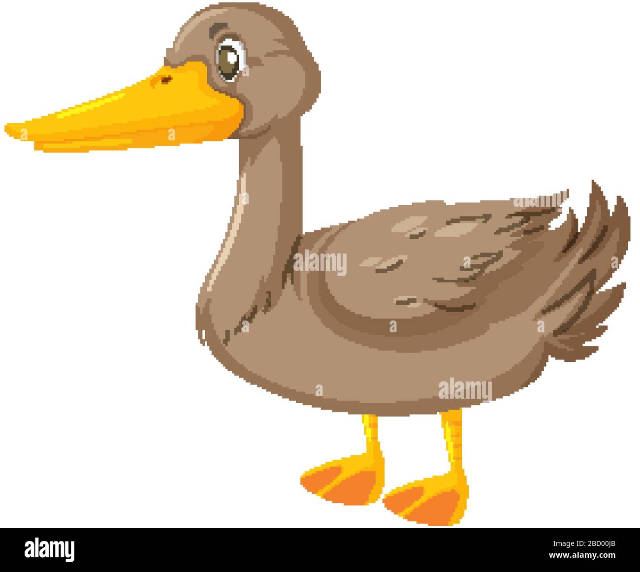 Gray duck on white background illustration Stock Vector Image & Art - Alamy