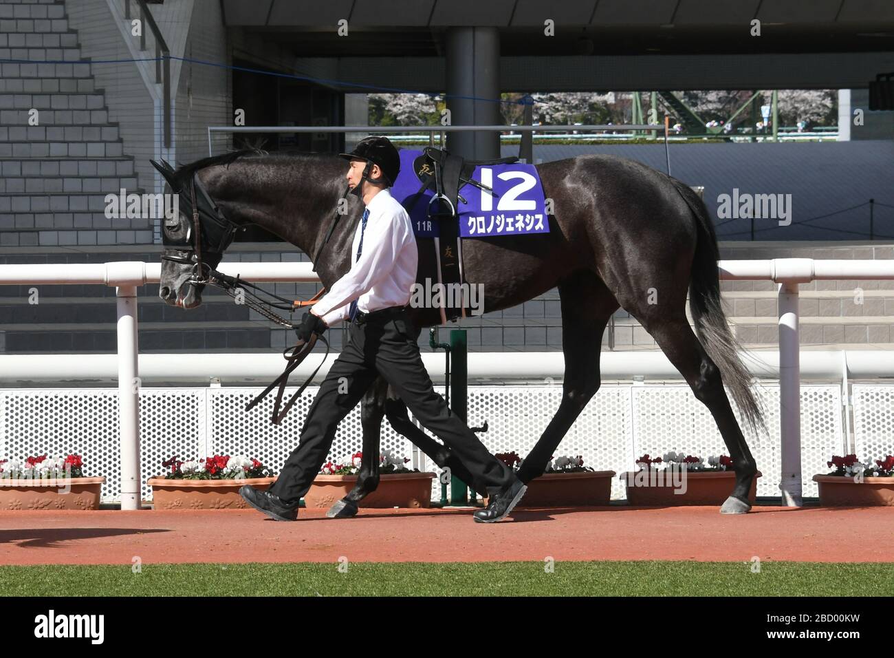 Hyogo, Japan. 5th Apr, 2020. Chrono Genesis Horse Racing : Chrono ...