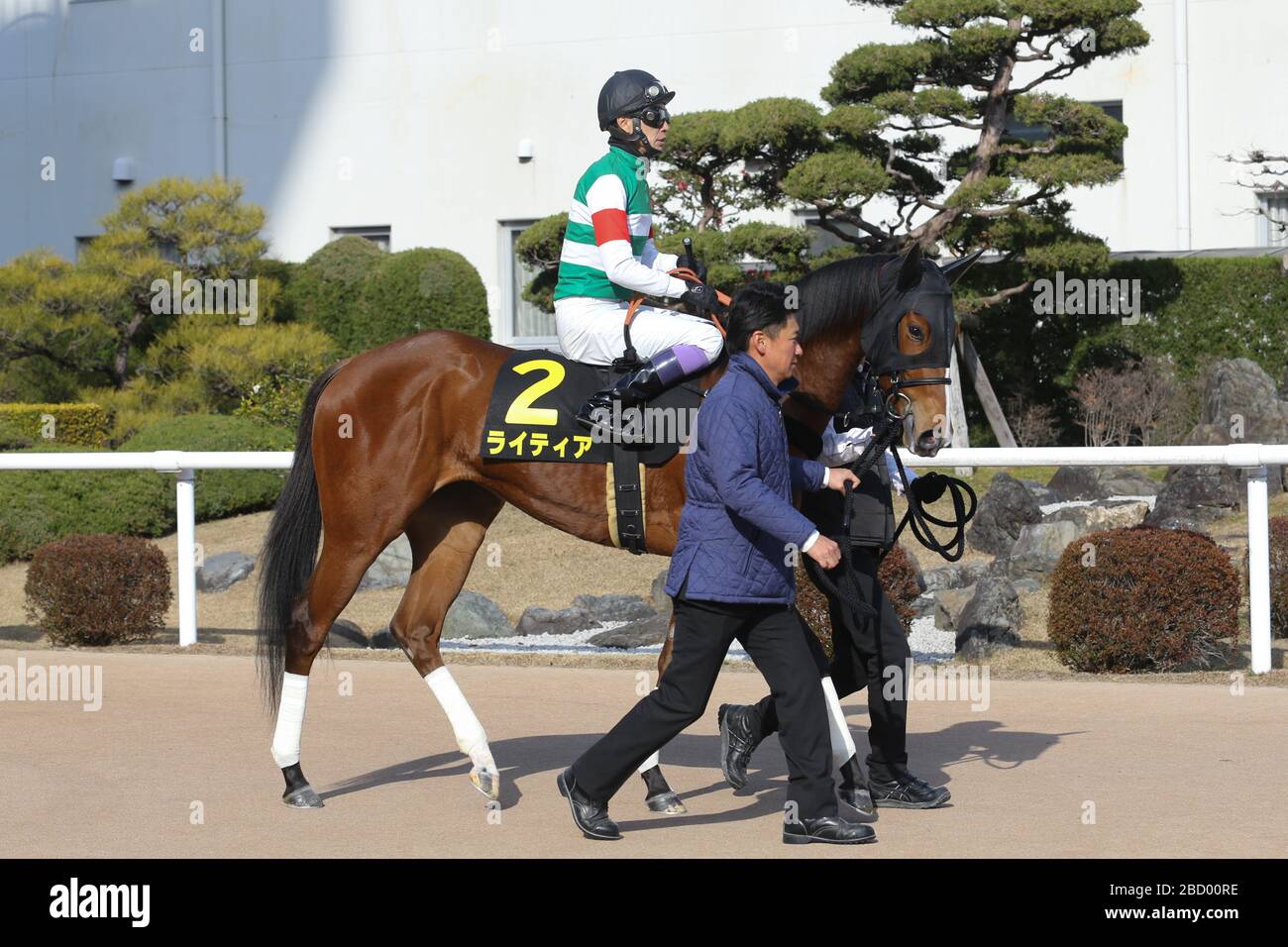 Kyoto, Japan. 8th Feb, 2020. Wrightia (Yutaka Take) Horse Racing ...