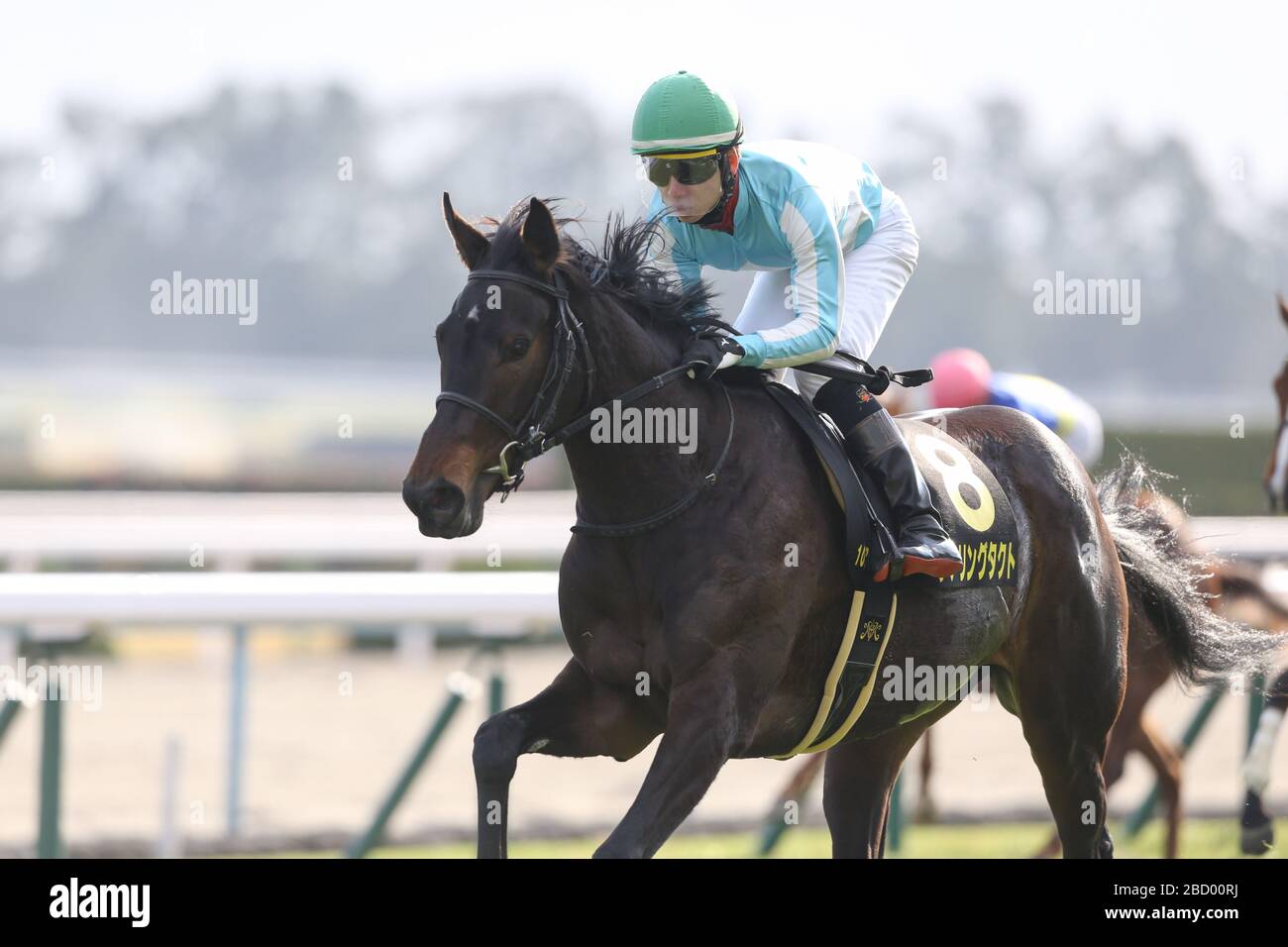 Kyoto, Japan. 8th Feb, 2020. Daring Tact (Kohei Matsuyama) Horse Racing ...