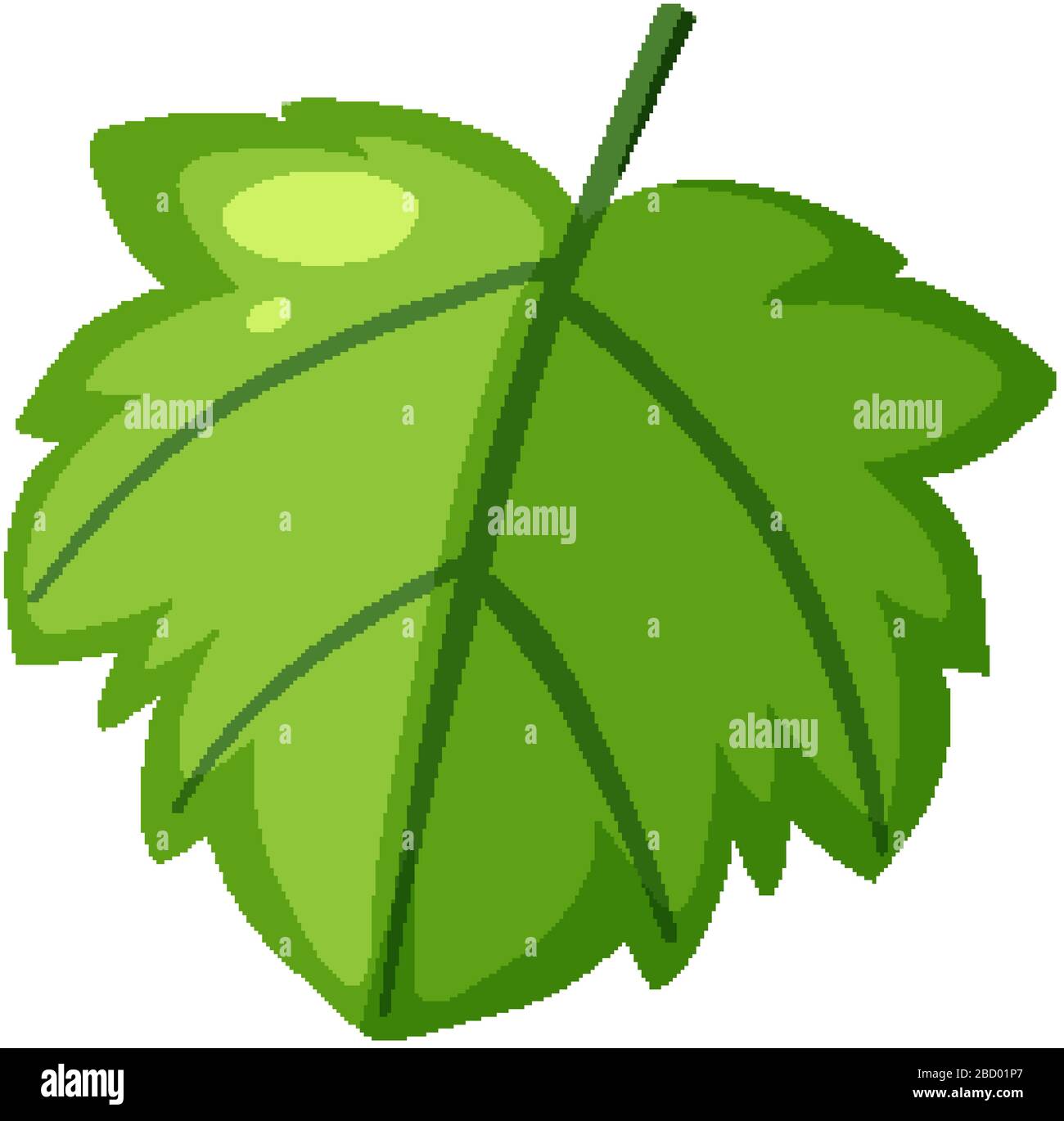 One green leaf on white background illustration Stock Vector Image ...