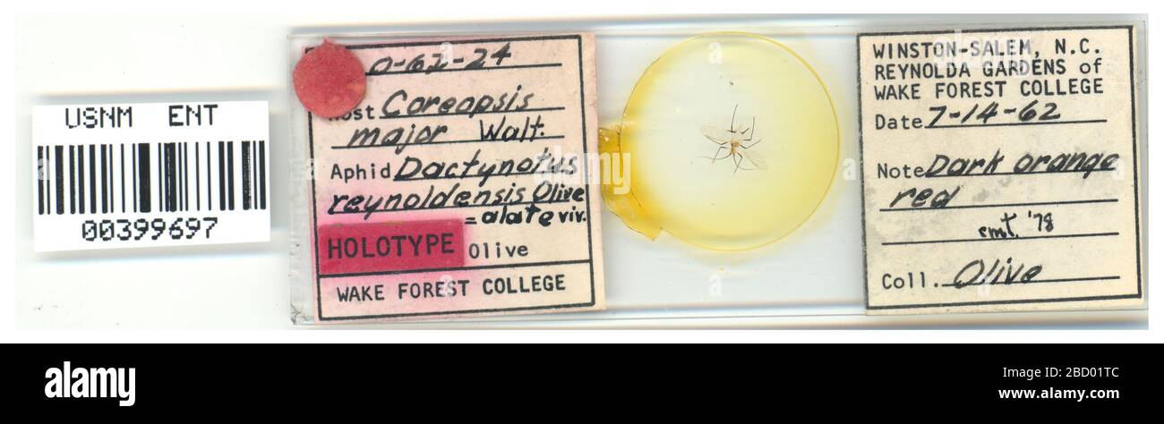 Museum specimen u s Cut Out Stock Images & Pictures - Alamy