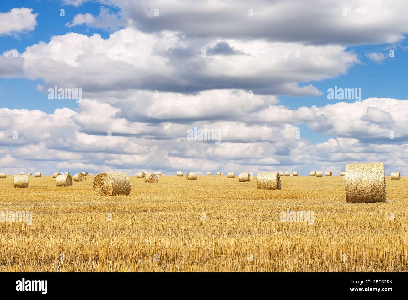 Hay autumn blue sky hi-res stock photography and images - Alamy