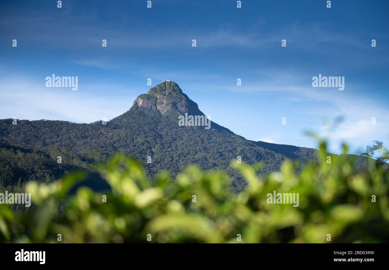 Sri Pada, Adam's peak in Sri Lanka Stock Photo - Alamy