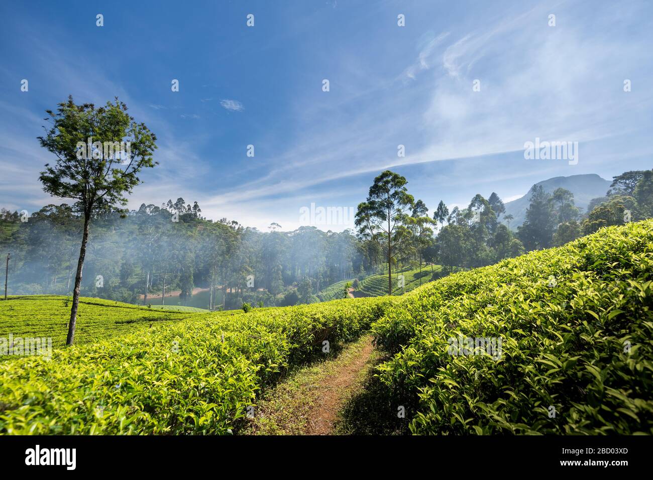 Maskeliya lake adams peak sri hi-res stock photography and images - Alamy