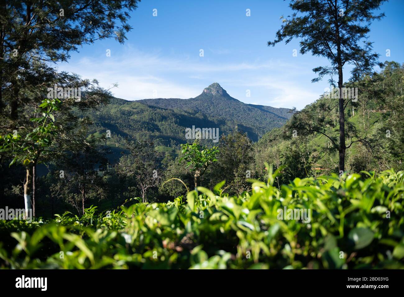 Maussakelle reservoir hi-res stock photography and images - Alamy