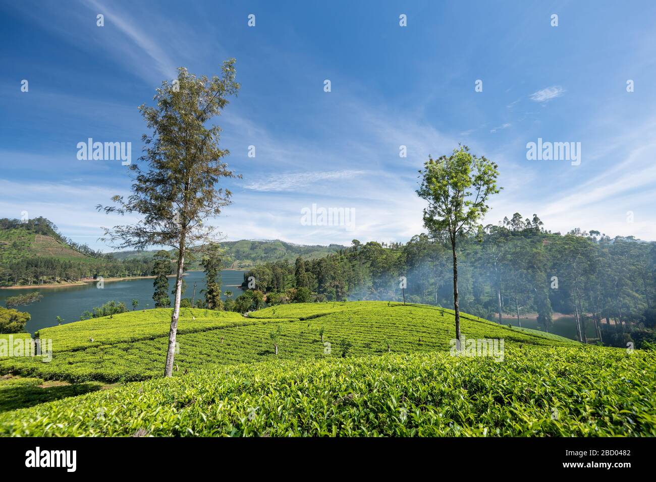 Maskeliya lake adams peak sri hi-res stock photography and images - Alamy