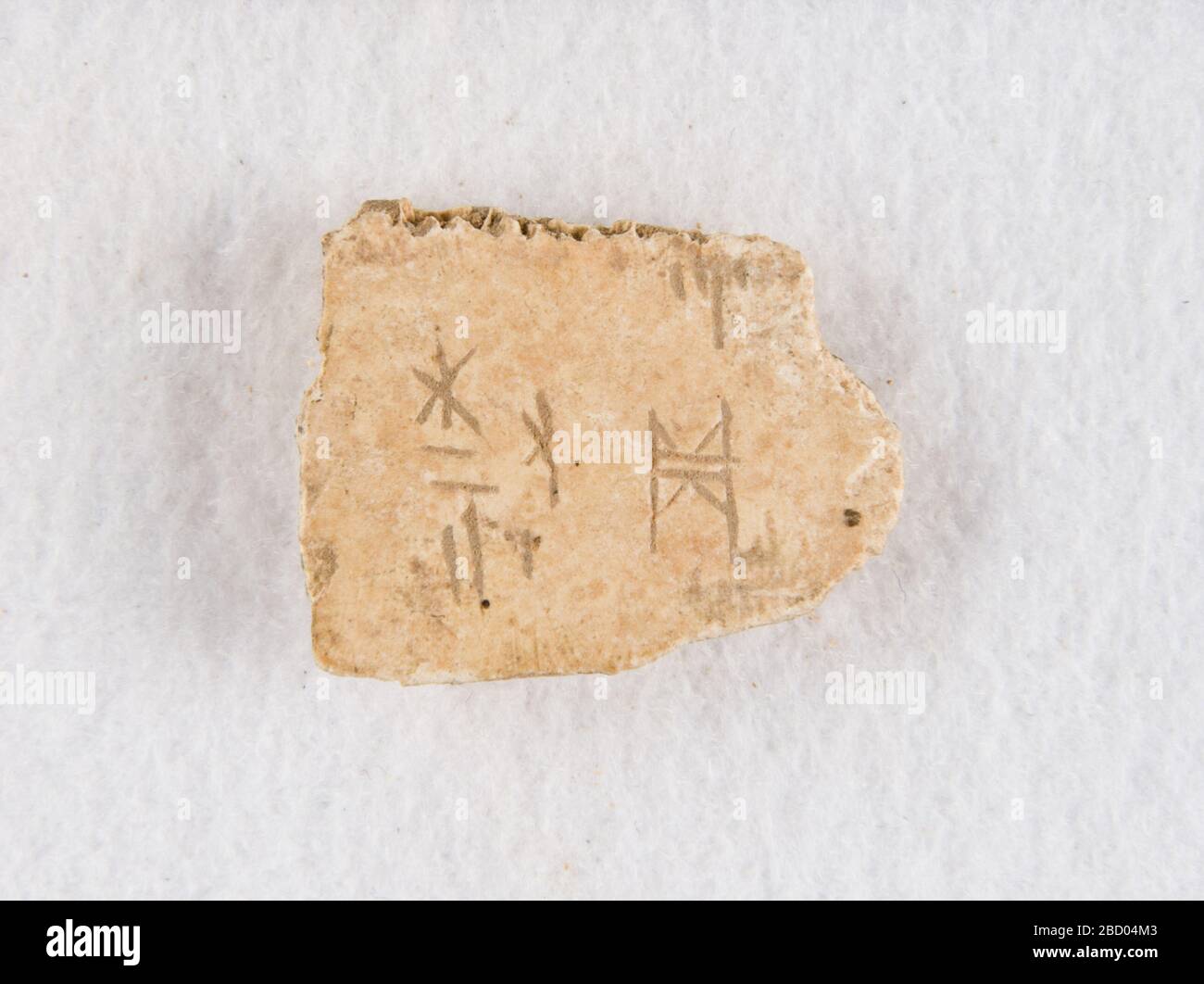 Bone fragment hi-res stock photography and images - Alamy