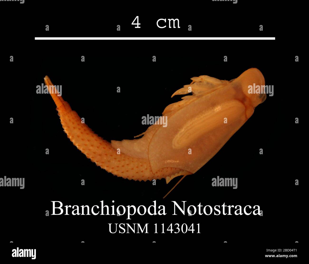 20138 hi-res stock photography and images - Alamy