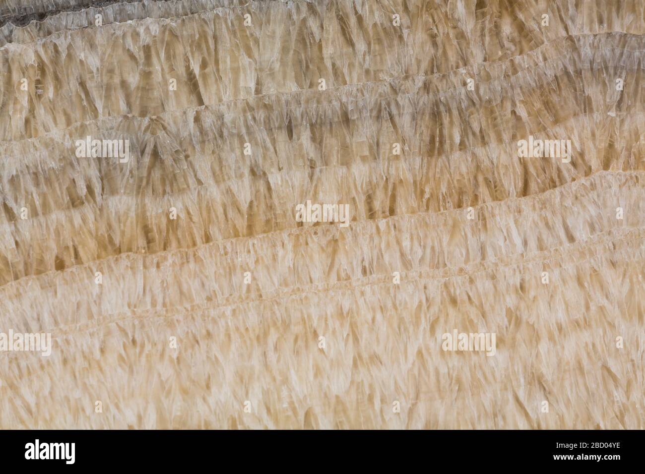 Expensive background for your elegant new design. Perfect texture for ...