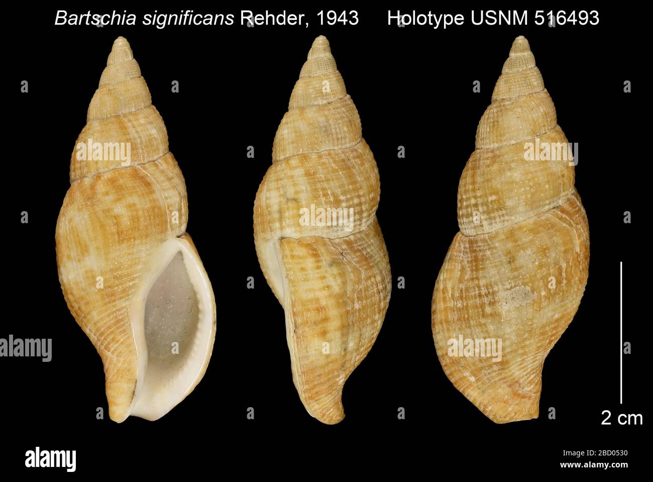 12 oct hi-res stock photography and images - Alamy