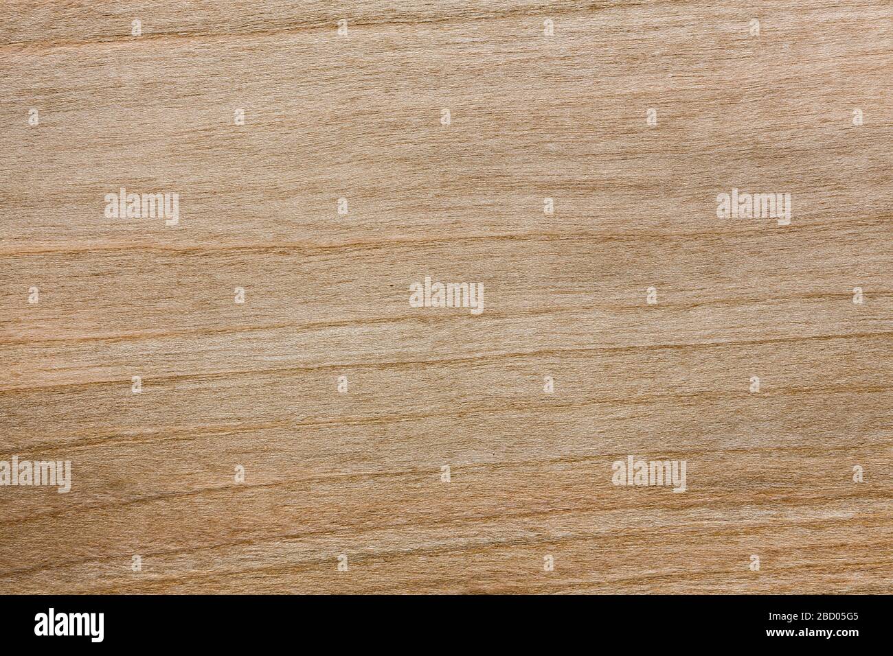 Stylish light veneer background for your image Stock Photo - Alamy