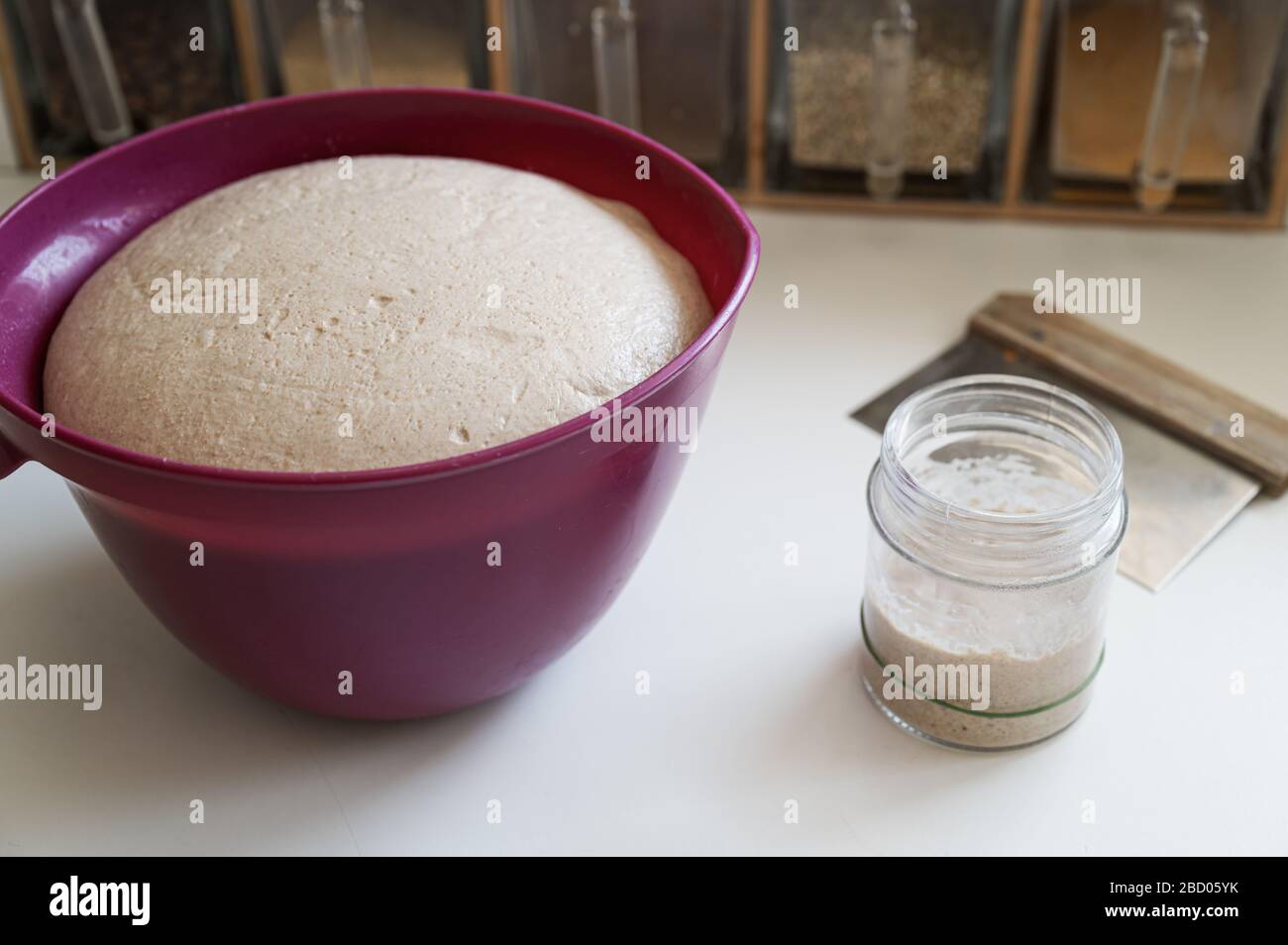 Sourdough for bread or pizza rising in a bowl, with starter yeast in a ...