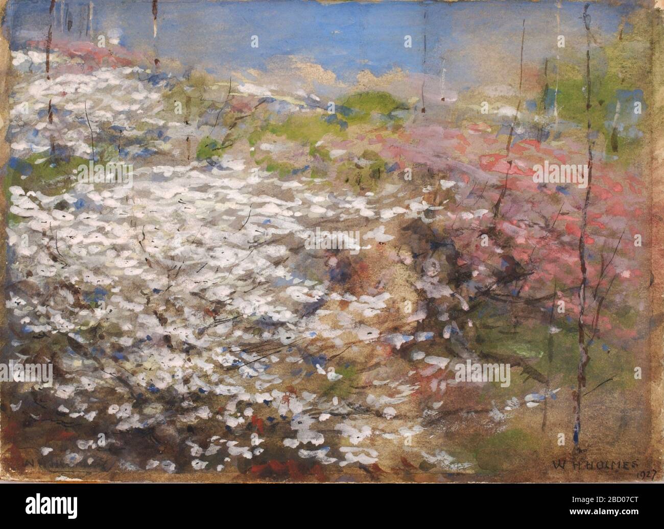 Blossoms field hi-res stock photography and images - Alamy