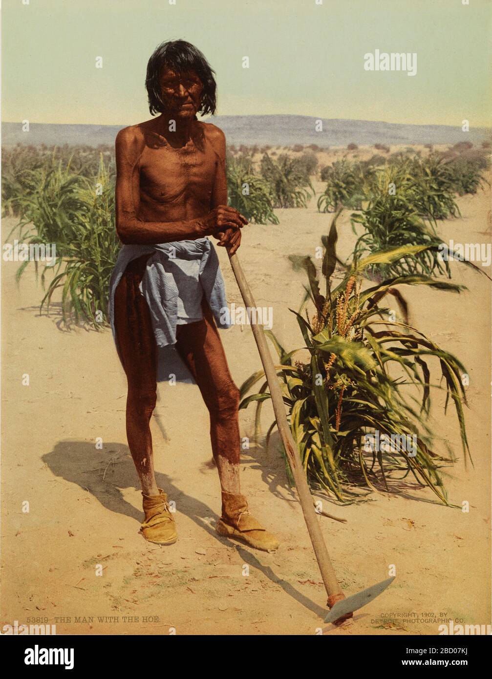 The Man with the Hoe Stock Photo - Alamy